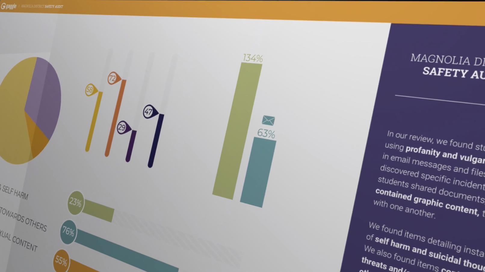 Why Get a Gaggle Safety Audit?